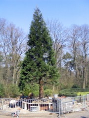 Pardoes Promenade - Eftepedia - alles over de Efteling